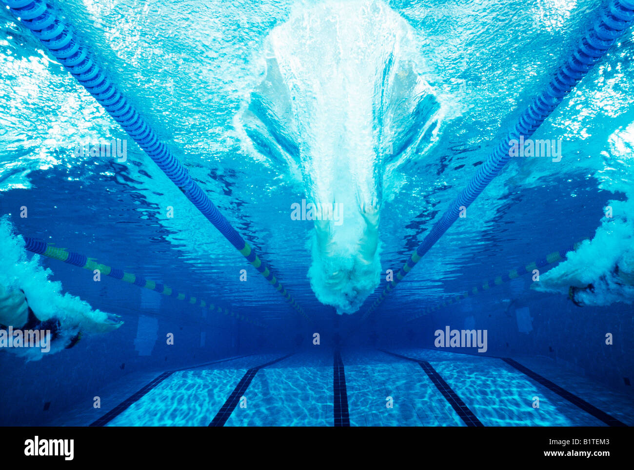 Underwater view of high school swim team members working out in a ...