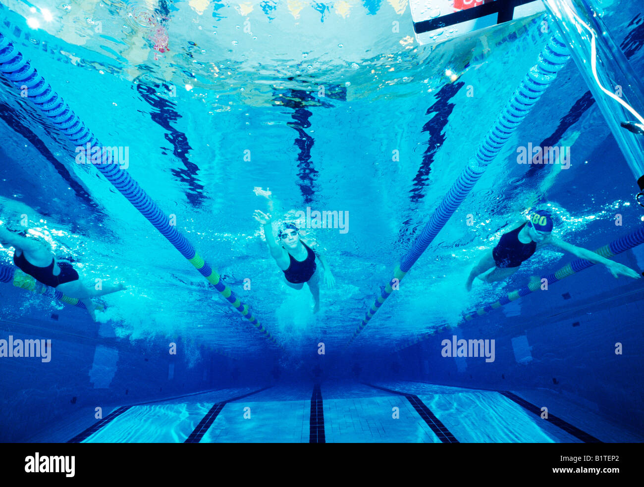 Underwater view of high school swim team members working out in a ...