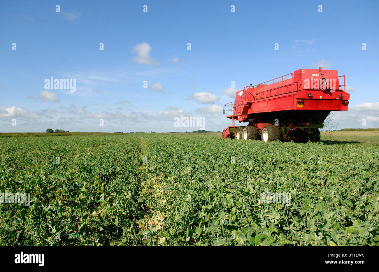 Pea factory hi-res stock photography and images - Alamy