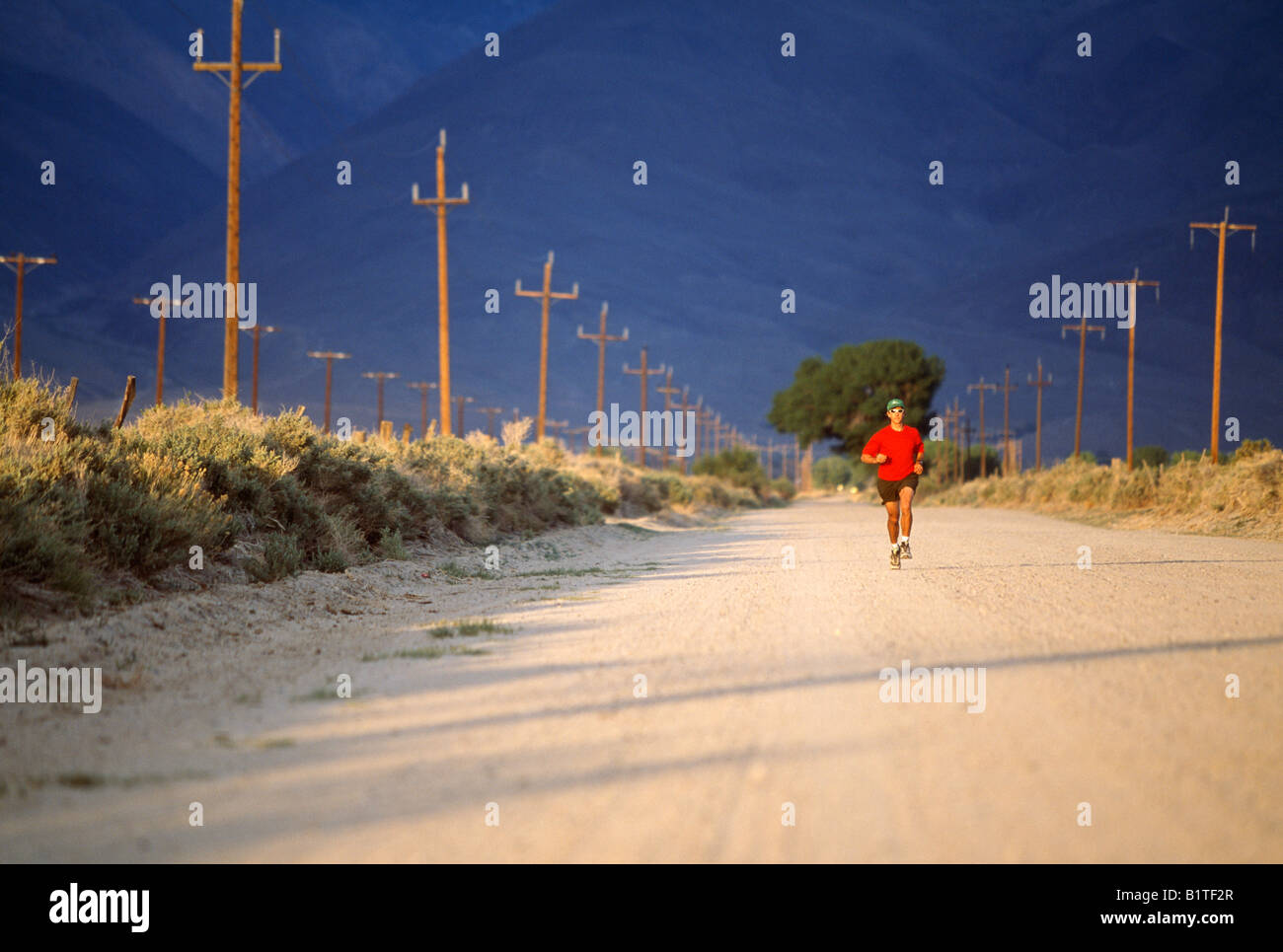 Lone male trail runner in the Eastern Sierra Mountain, California Stock ...