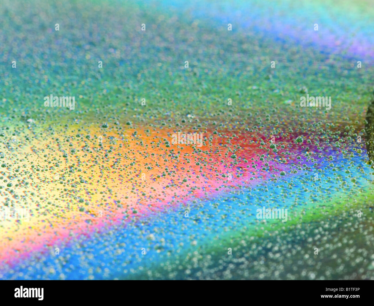 CD covered with water drops Stock Photo - Alamy