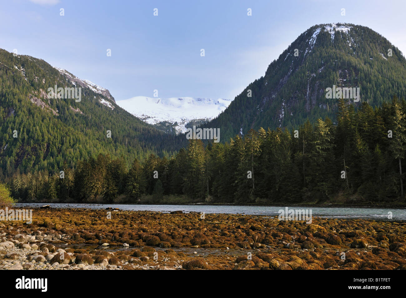 Wannock (Wanukv) River and Wuikinuxv Conservancy, Great Bear Rainforest ...