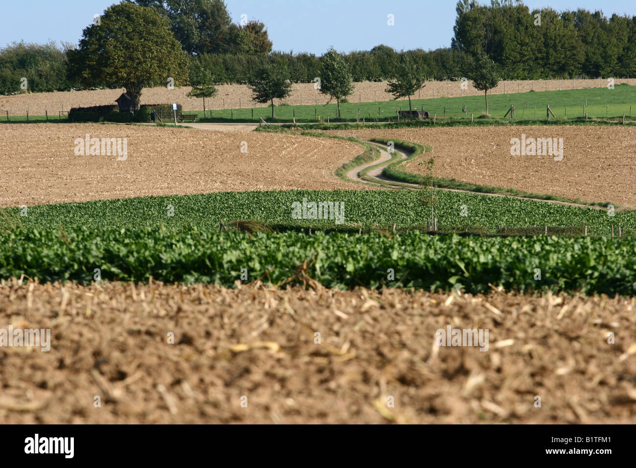 Belgium agriculture hi-res stock photography and images - Alamy