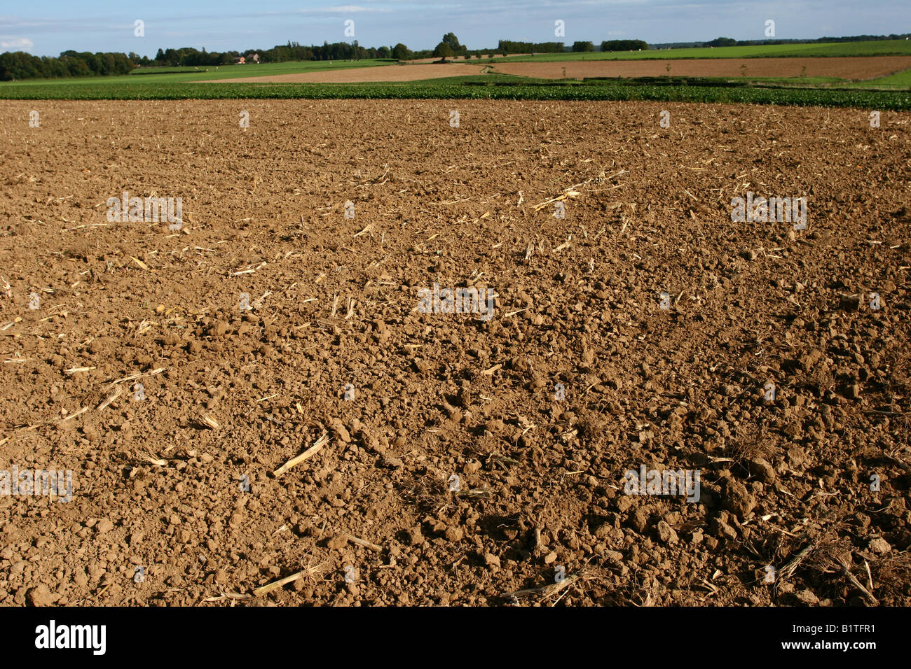 Belgium Agriculture farm land Stock Photo - Alamy