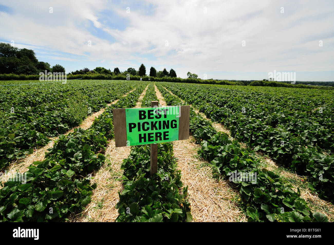 Fruit picking sign hi-res stock photography and images - Alamy