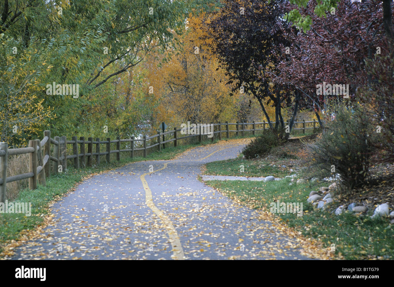Yampa River Core Trail in Autumn Steamboat Springs Colorado USA Stock ...