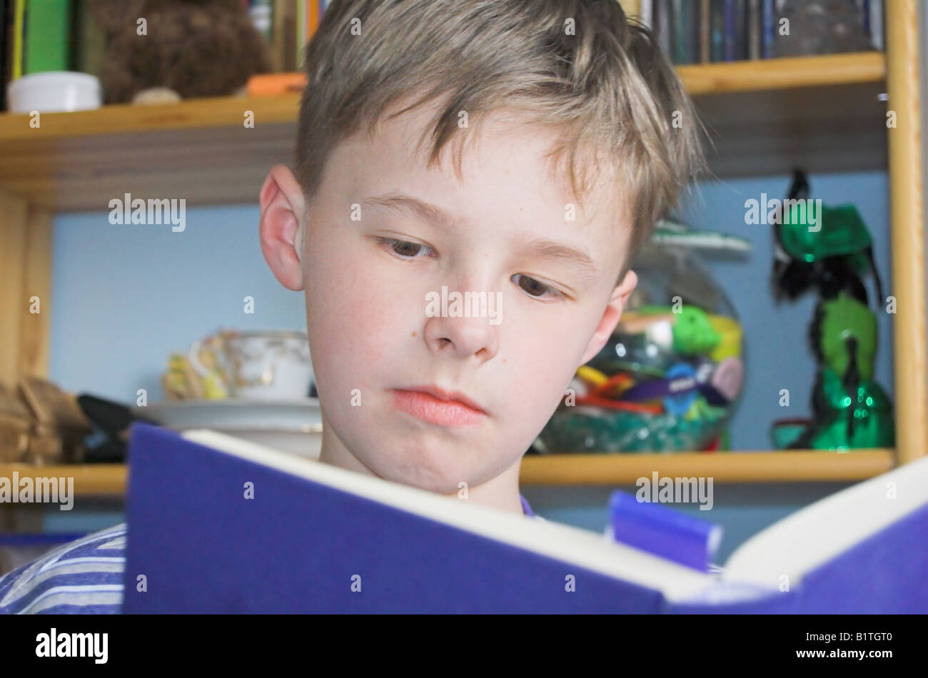 Boy reading book Stock Photo - Alamy