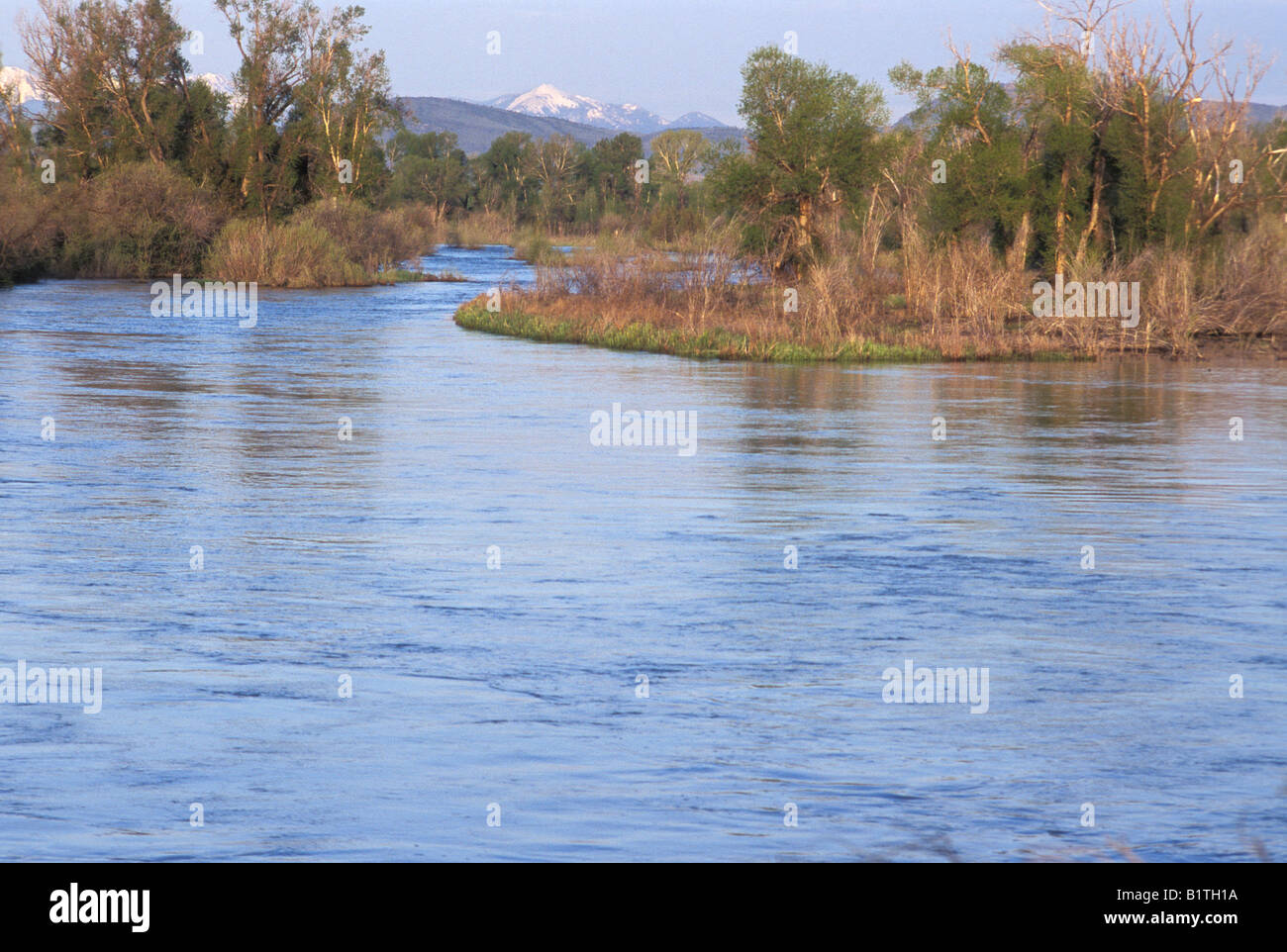 Missouri River headwaters discovered by Lewis and Clark at Three Forks ...