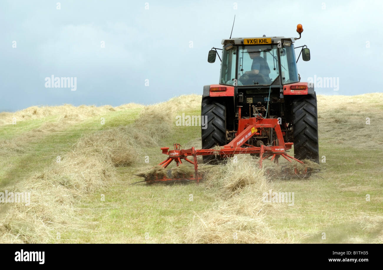 Tedding hay on a Cotswold farm Gloucestershire England Stock Photo - Alamy