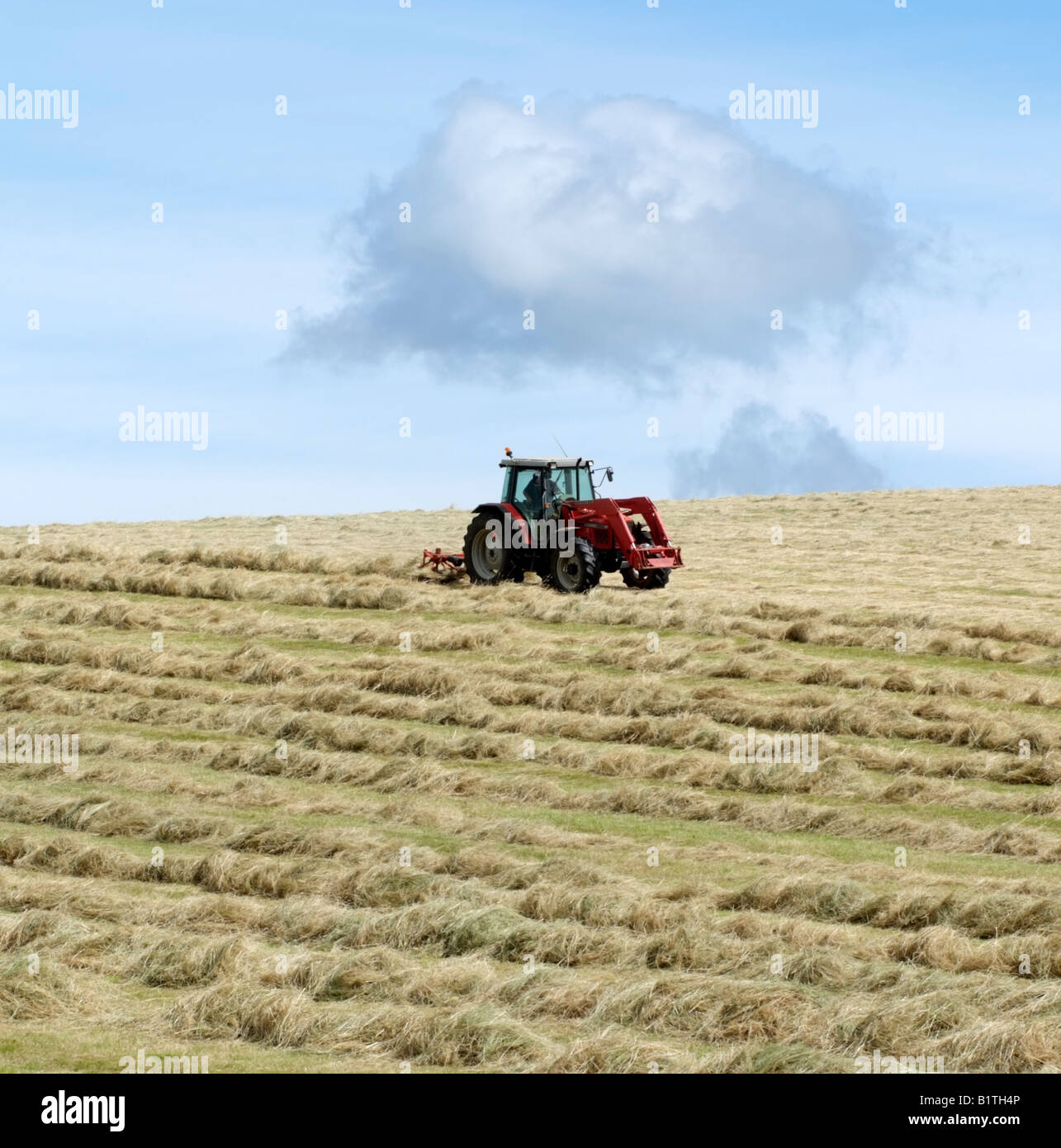 Tedding hay on a Cotswold farm Gloucestershire England Stock Photo - Alamy