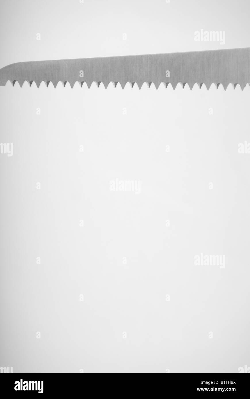 Serrated Teeth High Resolution Stock Photography and Images - Alamy