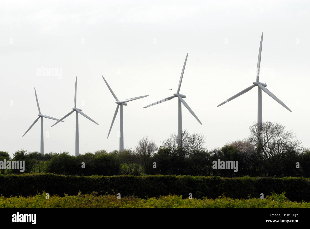 The wind turbines at the community-owned onshore wind farm at Westmill ...