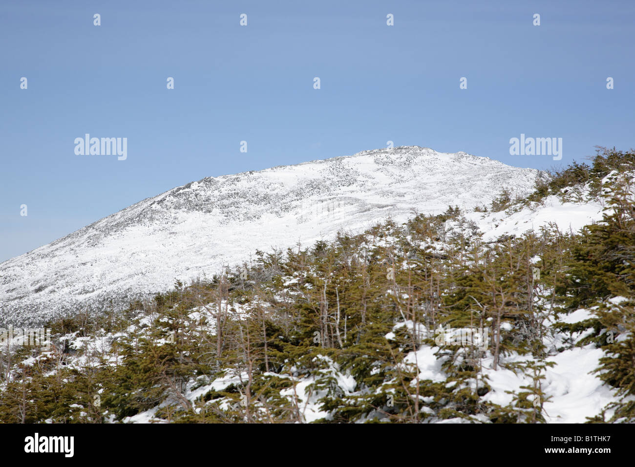 Mount Jefferson from Jewell Trail during the winter months Located in ...