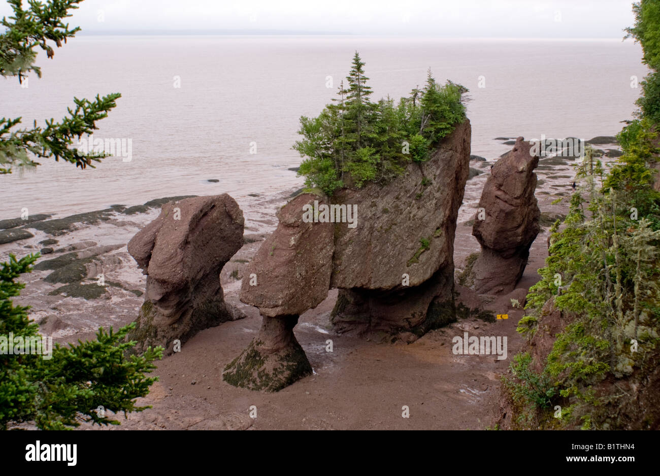 New brunswick tide hi-res stock photography and images - Alamy