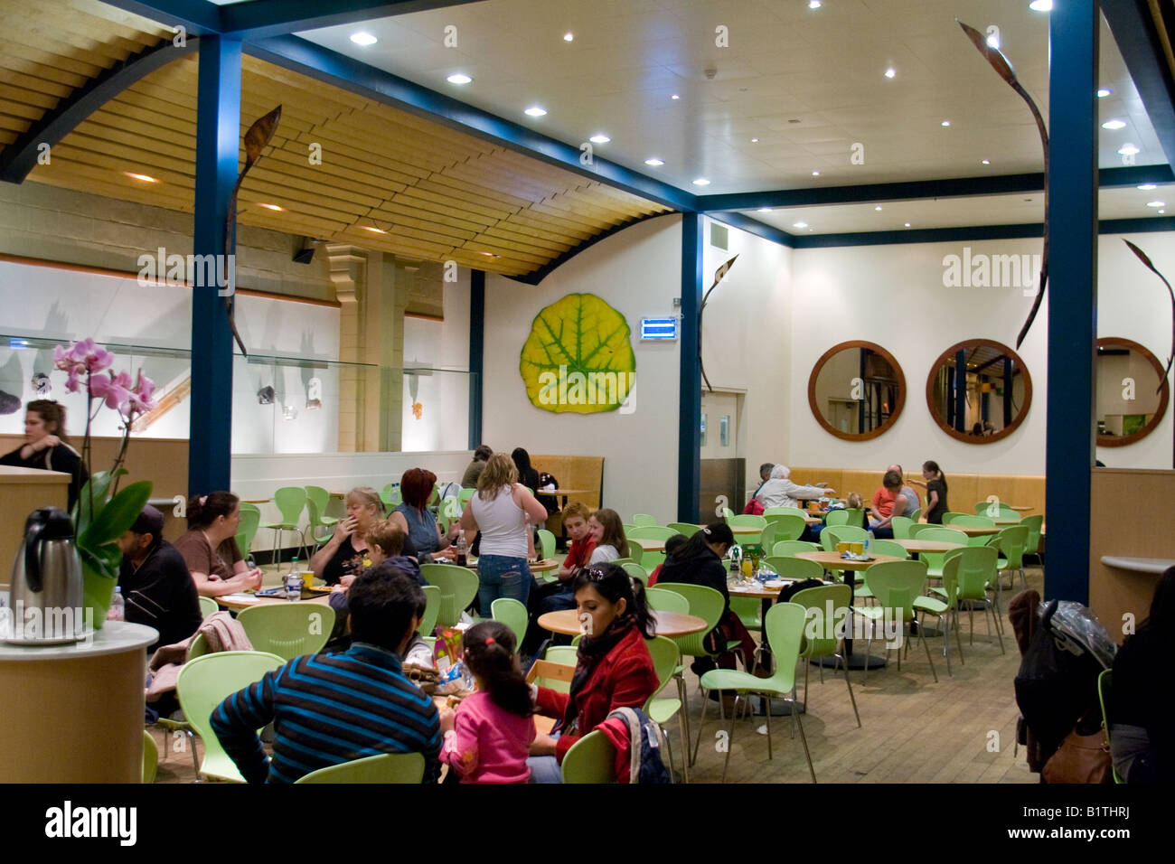 Cafeteria Natural History Museum London Stock Photo - Alamy
