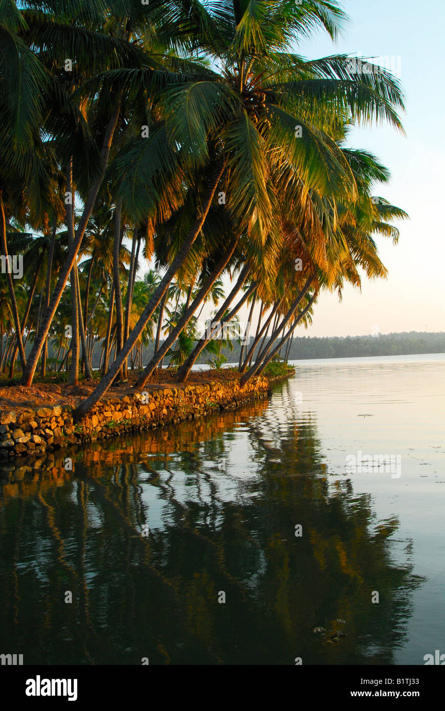 A panoromic view of backwater in kerala Stock Photo - Alamy