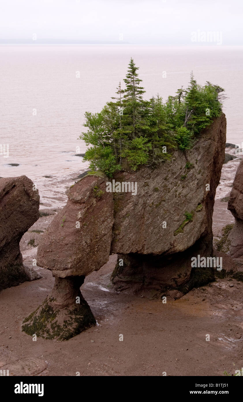 New brunswick tide hi-res stock photography and images - Alamy