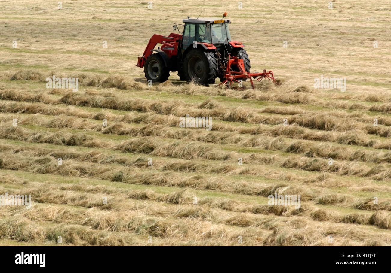 Tedding hay on a Cotswold farm Gloucestershire England Stock Photo - Alamy