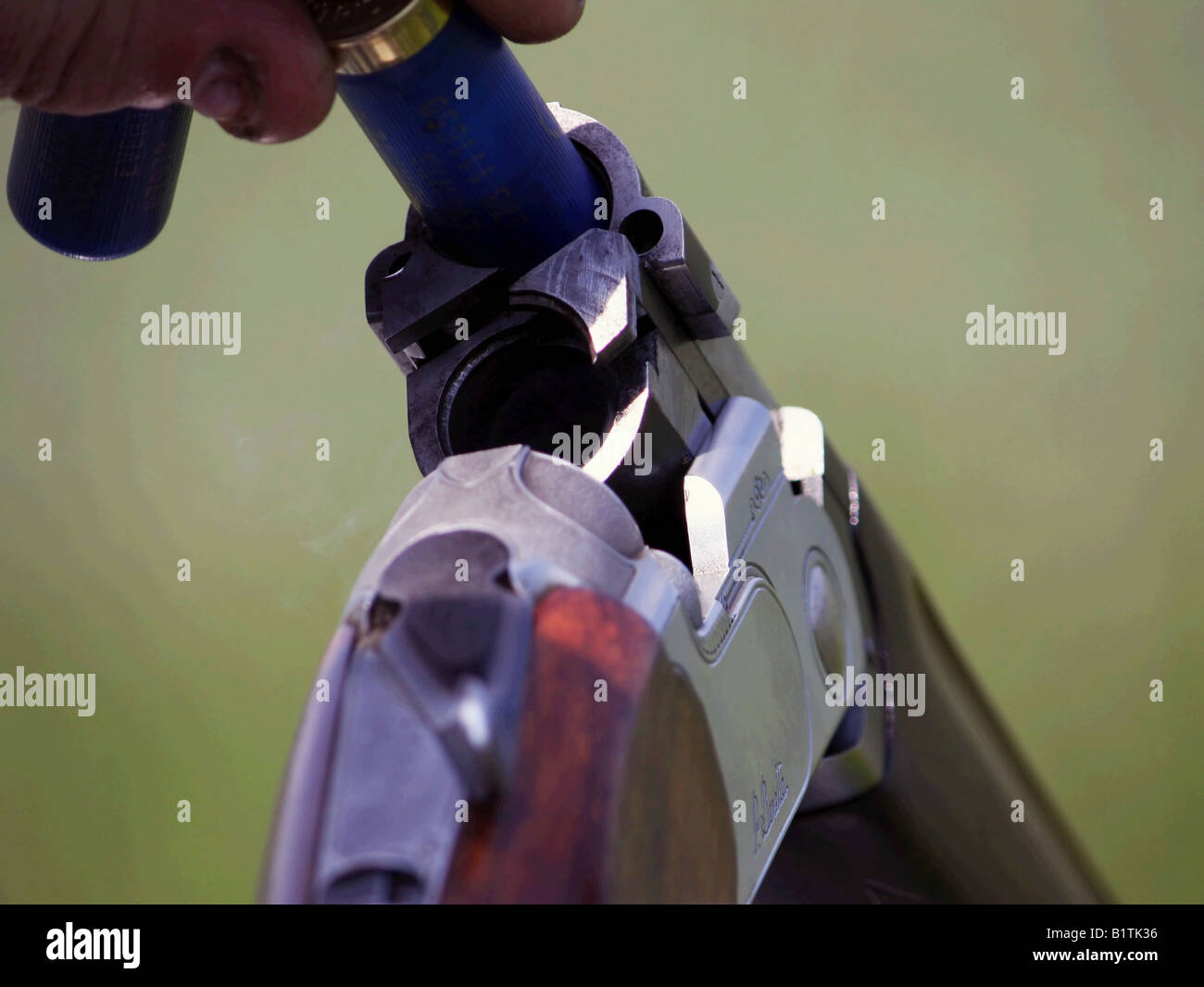 loading a shotgun Stock Photo - Alamy