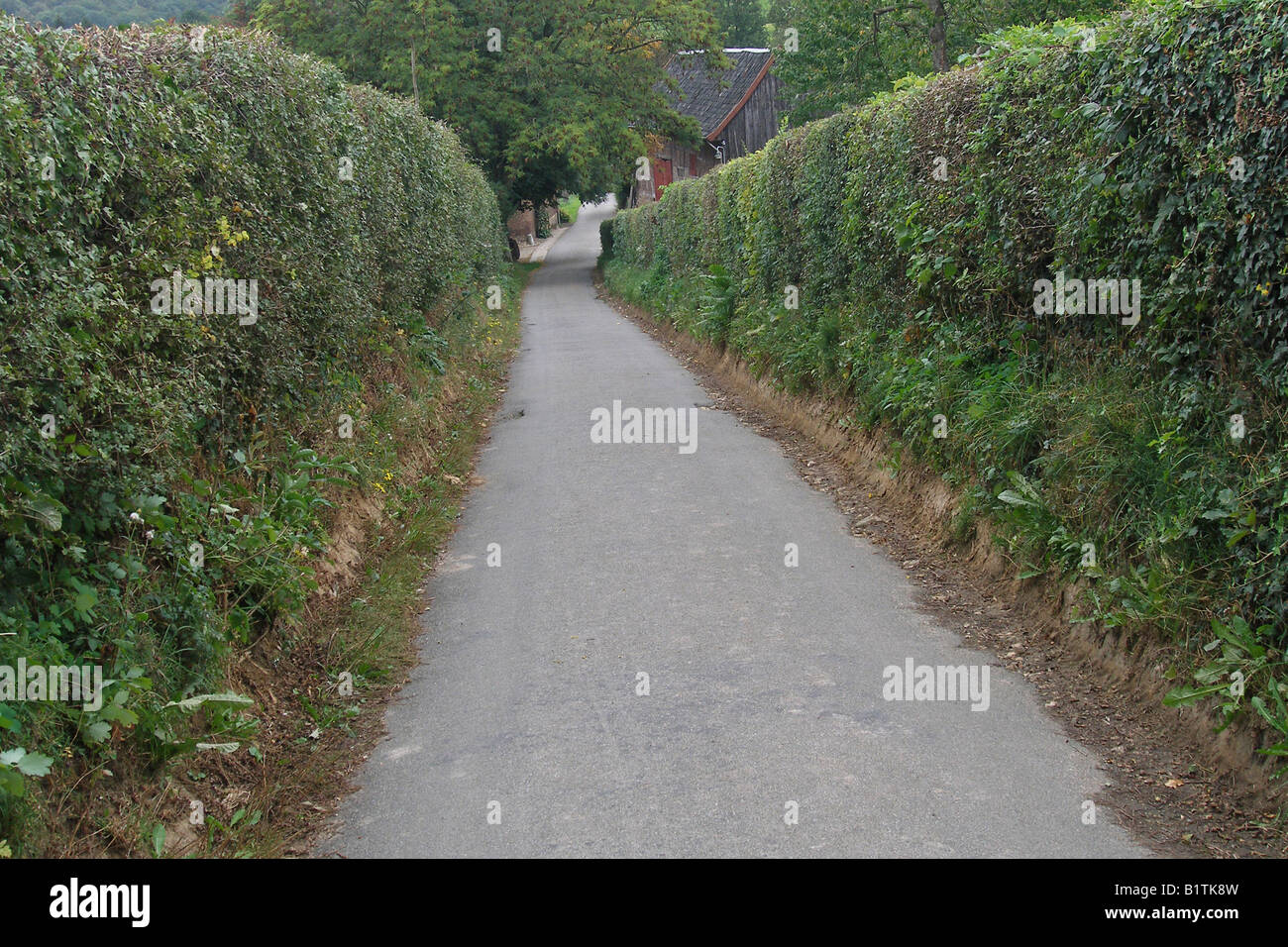 Belgium A rural lane Stock Photo - Alamy