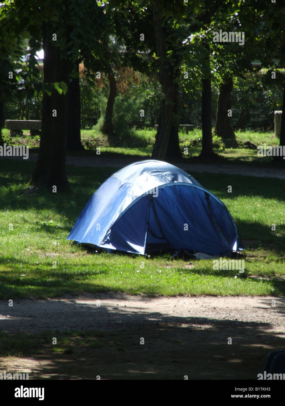 one blue tent on camping site in woods Stock Photo - Alamy