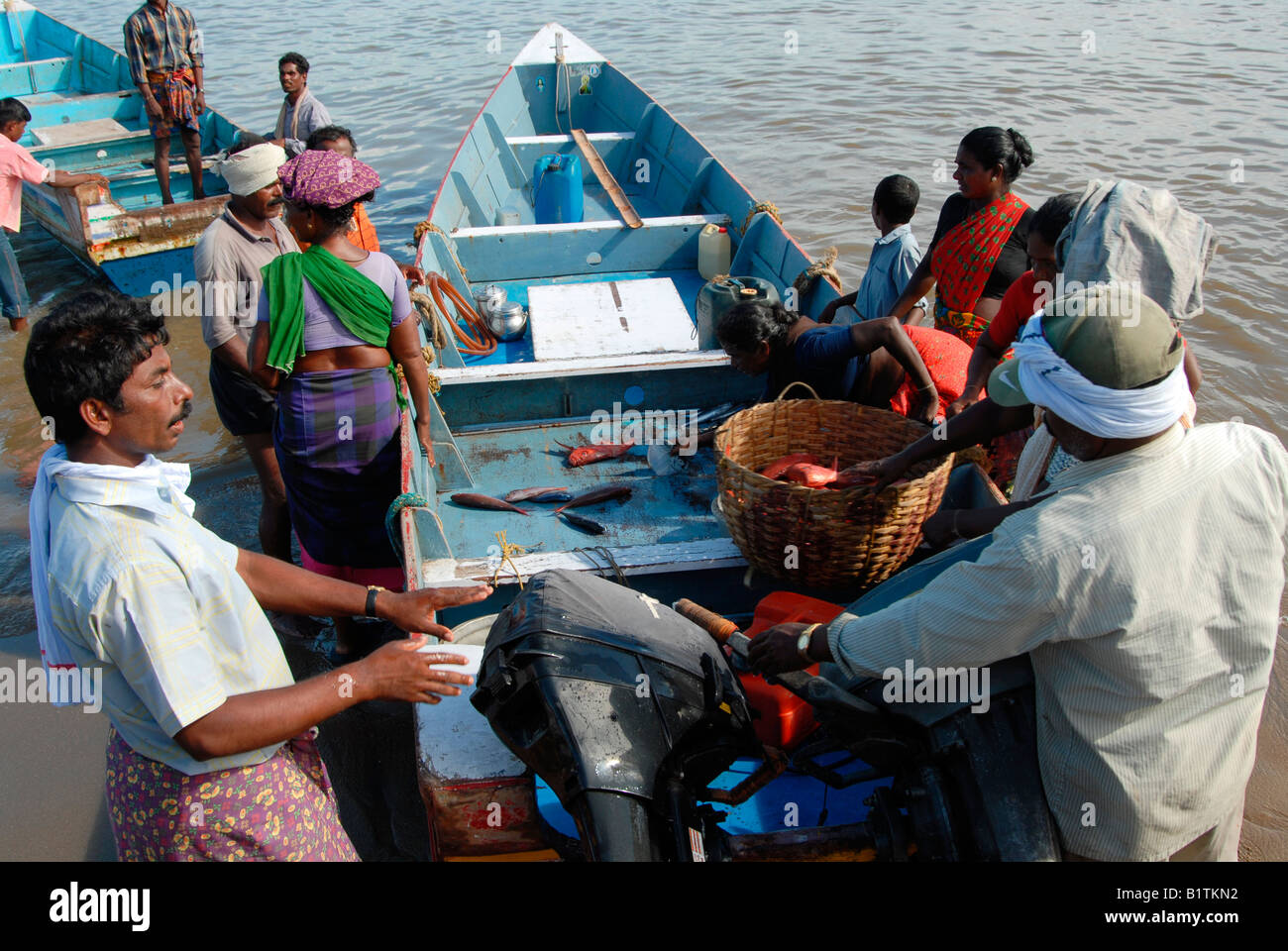 Off loading fish hi-res stock photography and images - Alamy
