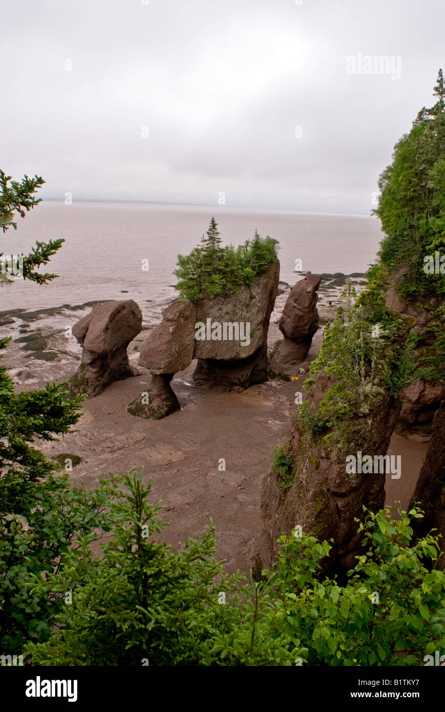 New brunswick tide hi-res stock photography and images - Alamy
