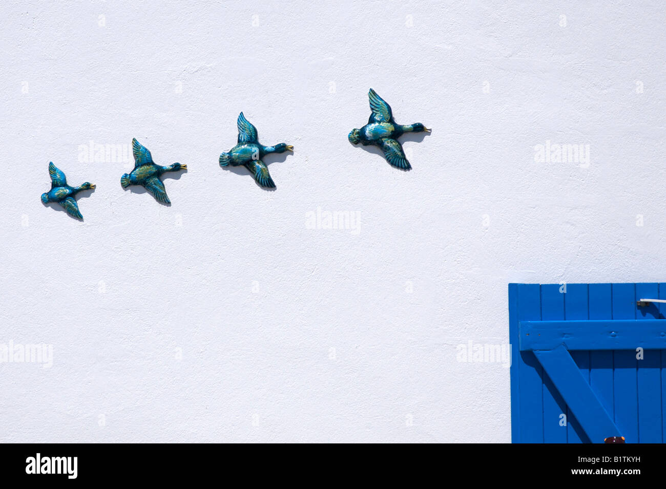 Flying ducks on wall hi-res stock photography and images - Alamy
