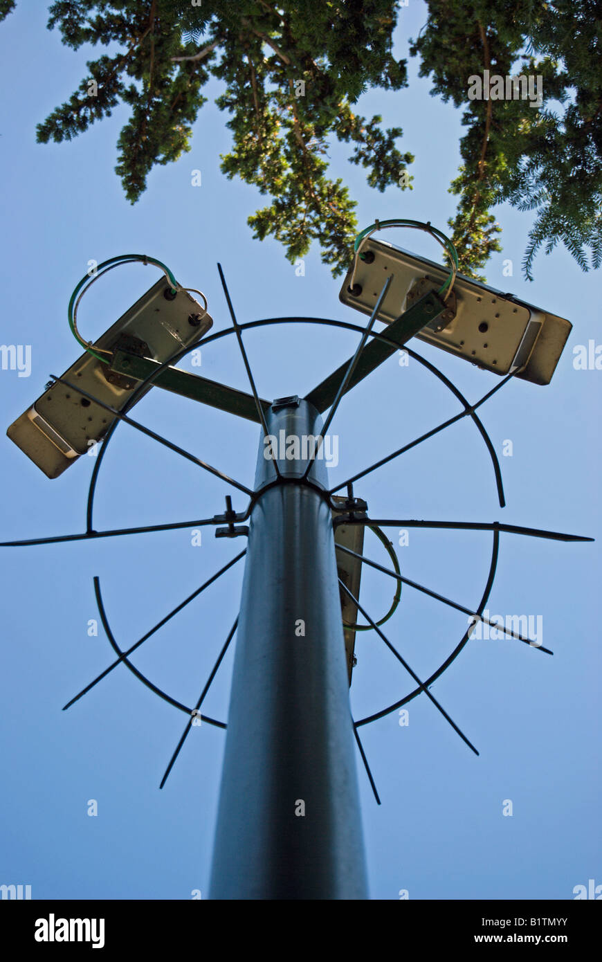 Cctv on the tree hi-res stock photography and images - Alamy