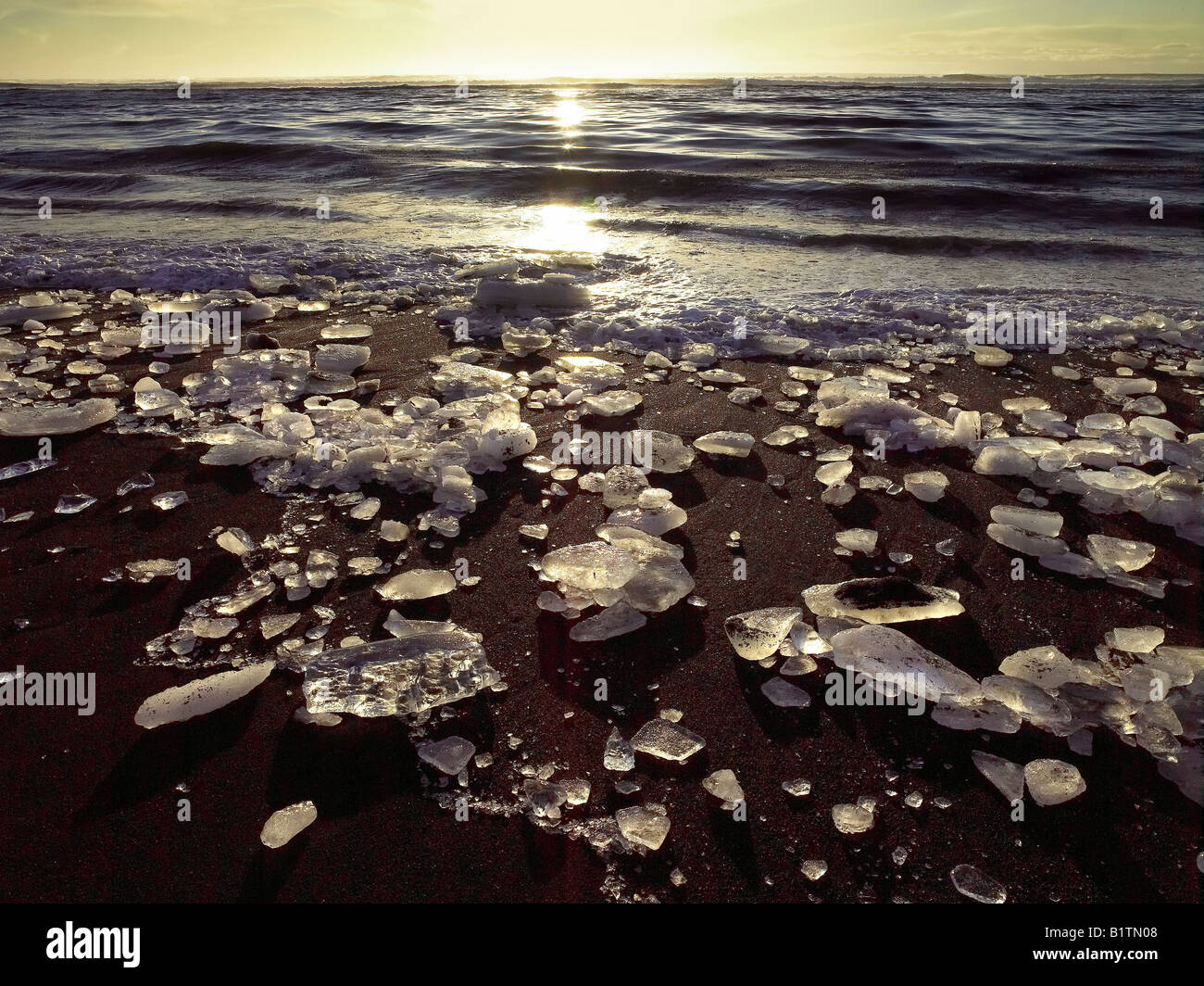 Chunks of Ice on Black Sand Beach, Iceland Stock Photo - Alamy