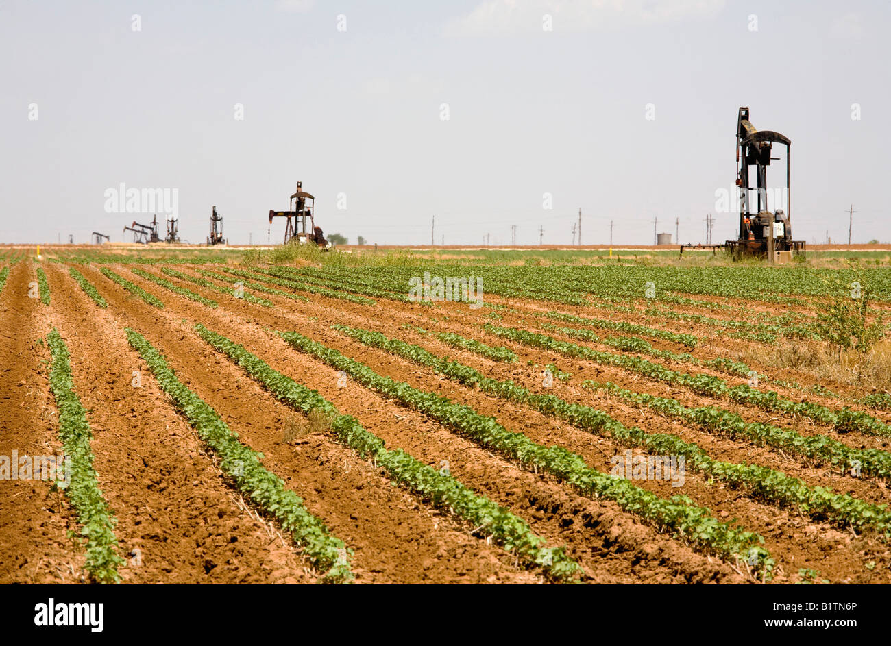 Texas panhandle hi-res stock photography and images - Alamy