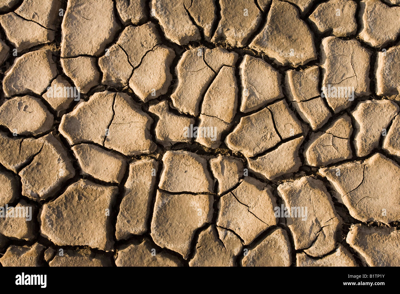 dried mud during drought Stock Photo - Alamy