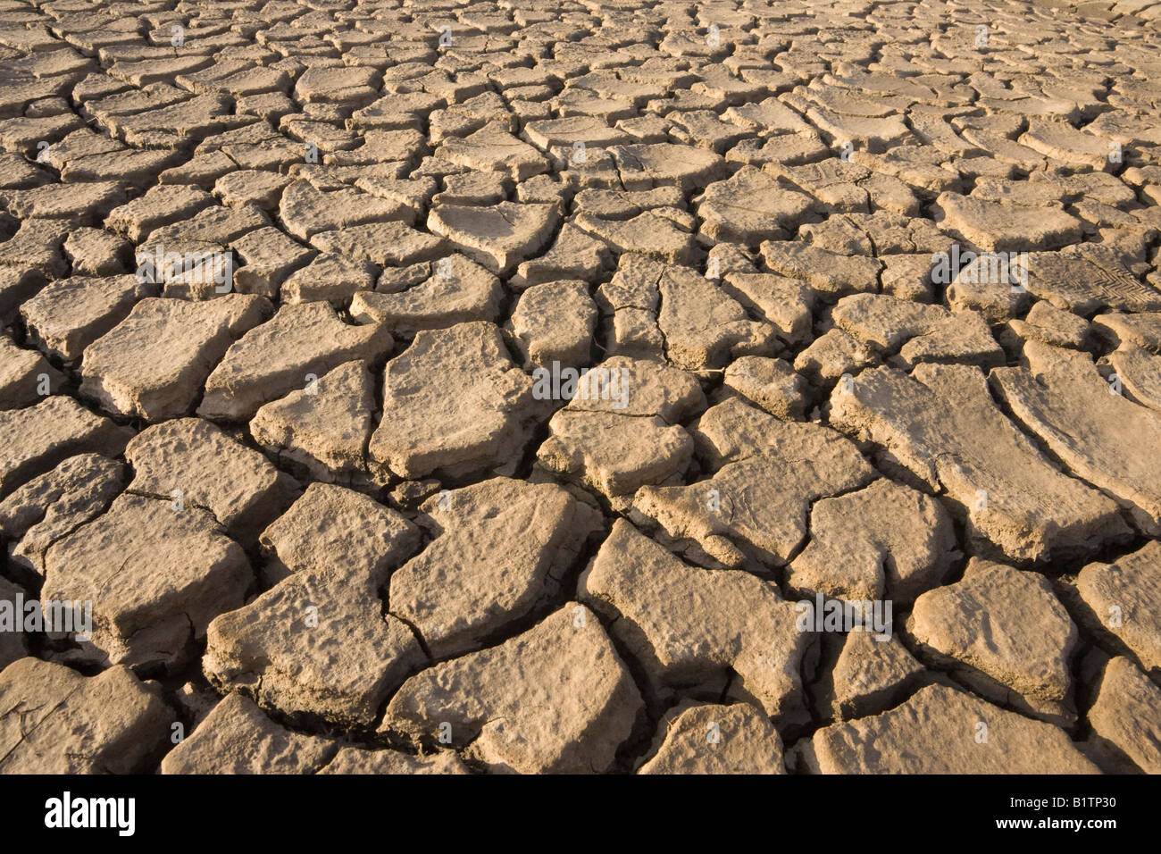 dried mud during drought Stock Photo - Alamy