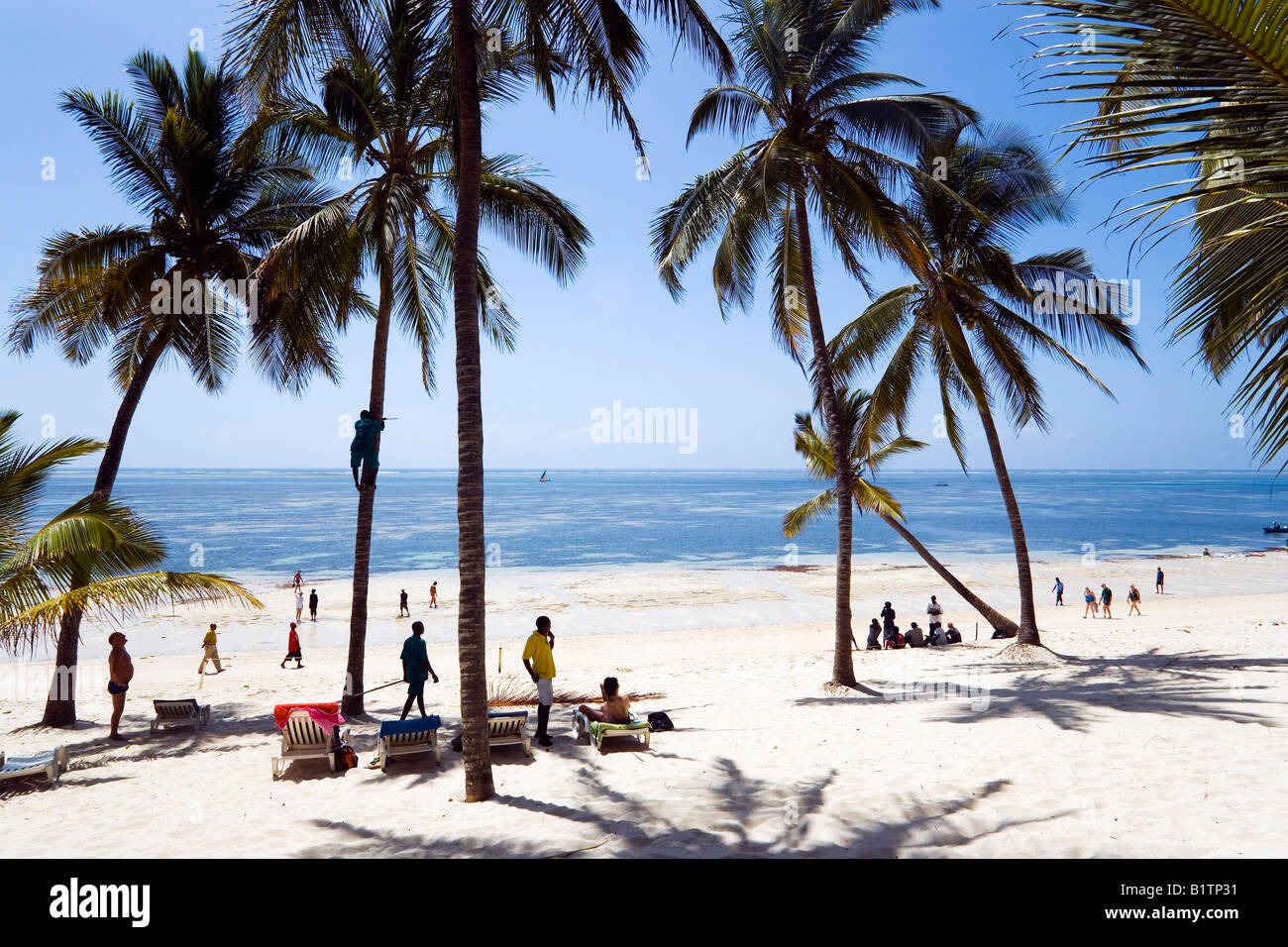 Tourists relaxing at Shanzu beach Dolphin Hotel Coast Kenya Stock Photo ...