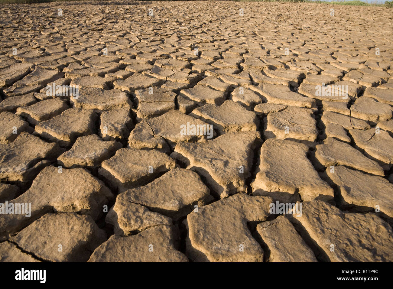 dried mud during drought Stock Photo - Alamy
