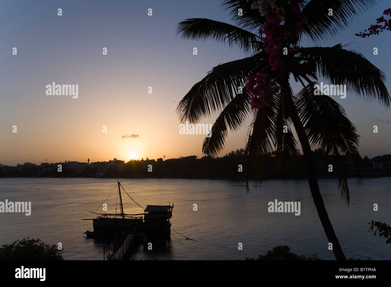 Indian tamarind trees hi-res stock photography and images - Alamy