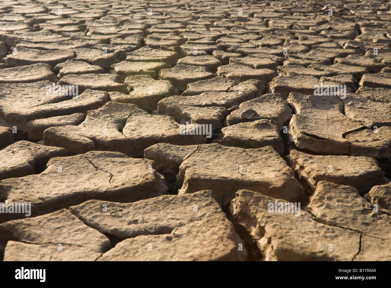 Dried mud crack lake hi-res stock photography and images - Alamy