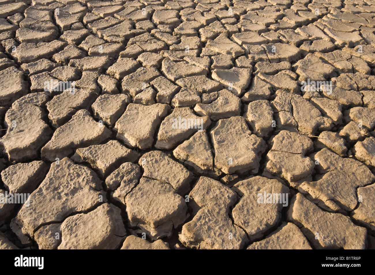 dried mud during drought Stock Photo - Alamy
