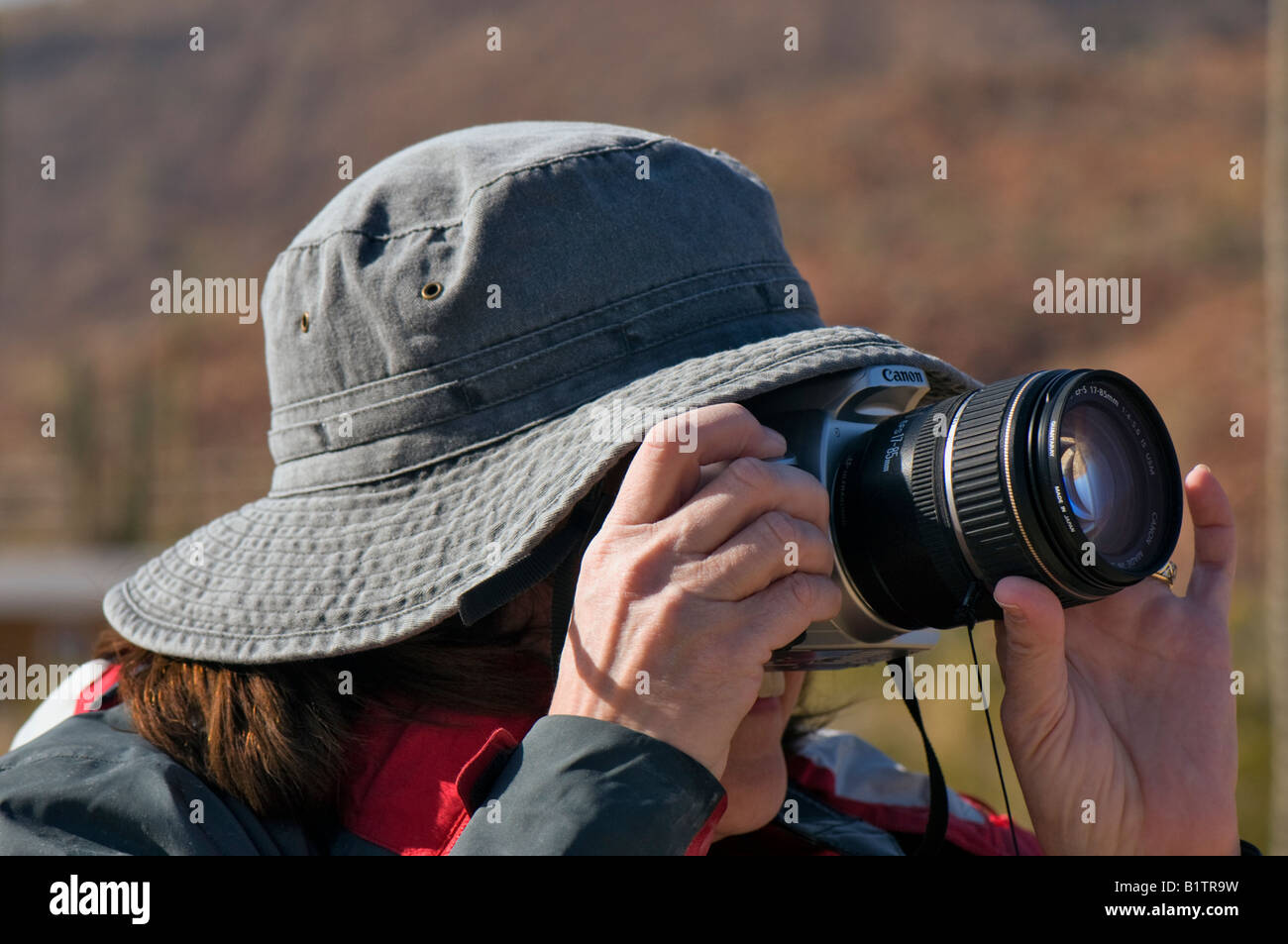 "The Evening Boojum Hunt Stock Photo - Alamy