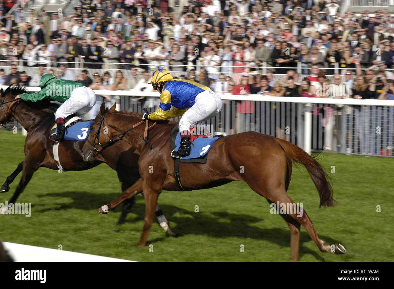 Horse Racing York UK Stock Photo - Alamy