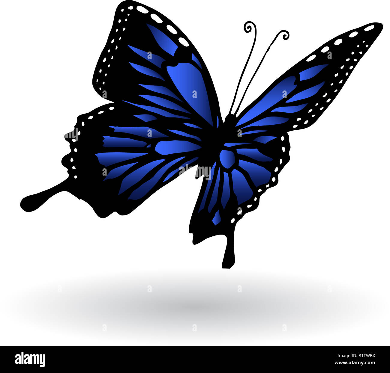 Hand drawn decorative butterfly Stock Photo - Alamy