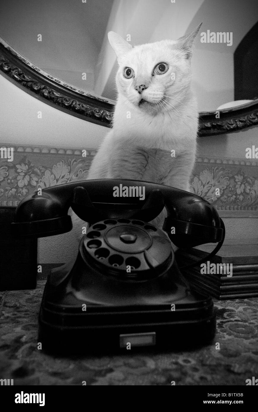 Phone waiting Black and White Stock Photos & Images - Alamy