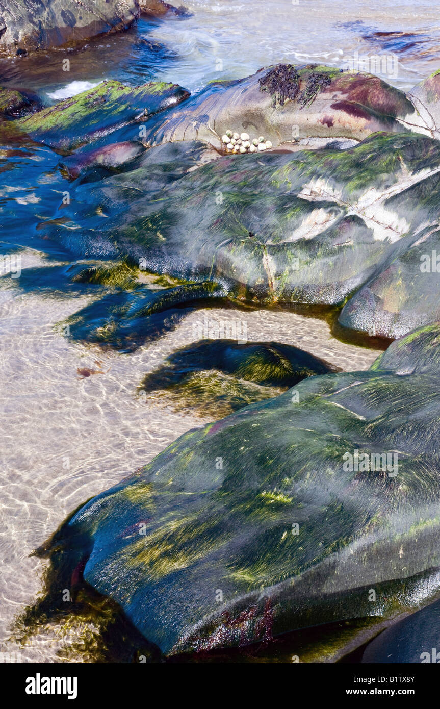 saligo bay detail islay scotland Stock Photo - Alamy