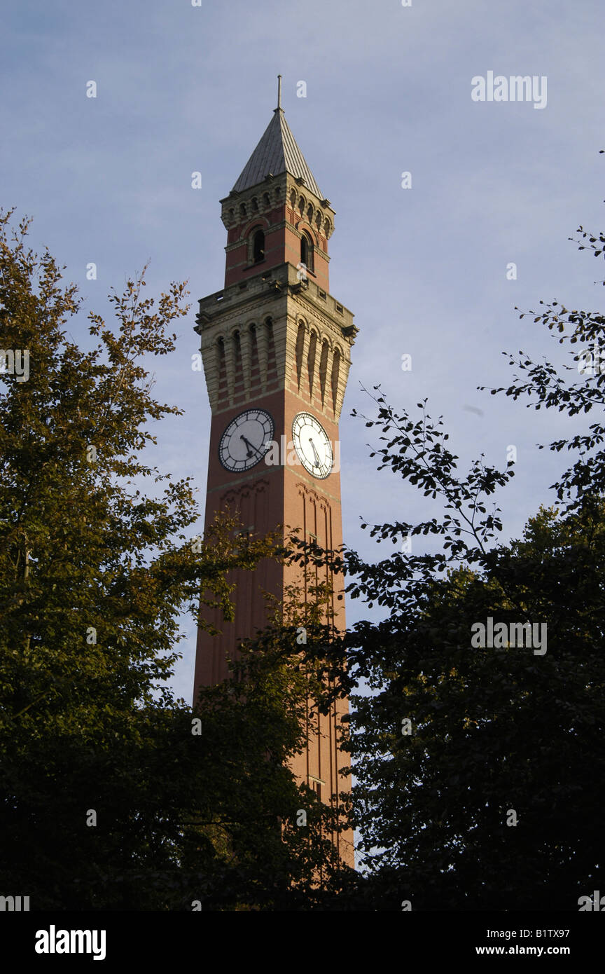 Detail of University Clock Tower through trees, University grounds ...