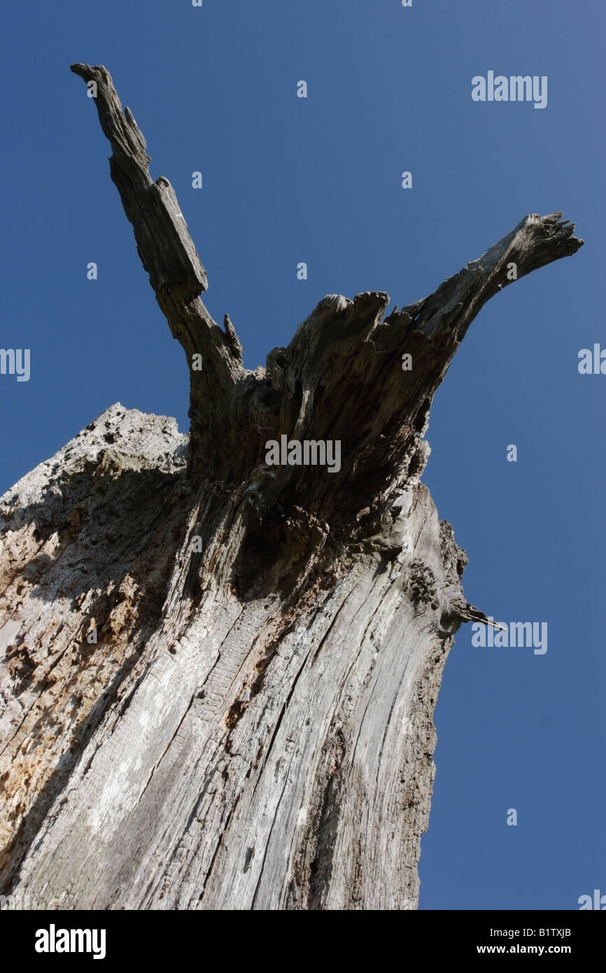 Blue bleached hi-res stock photography and images - Alamy