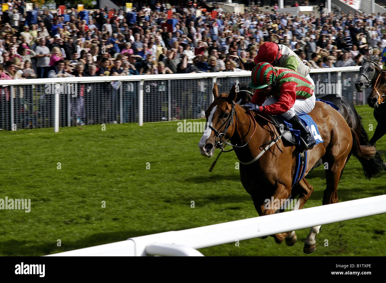 York race course uk hi-res stock photography and images - Alamy