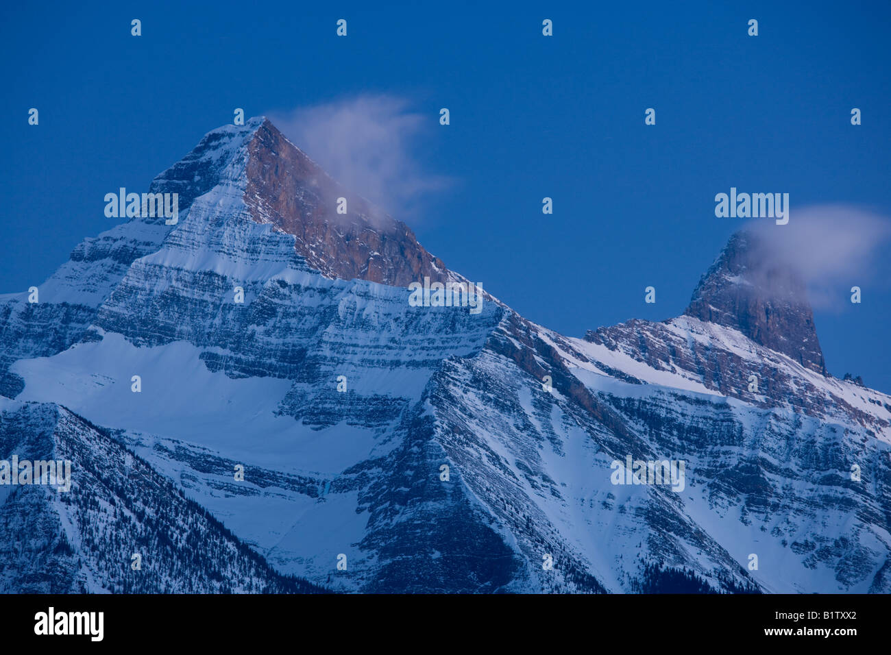 Canada Alberta Sawridge range Jasper National park Stock Photo - Alamy