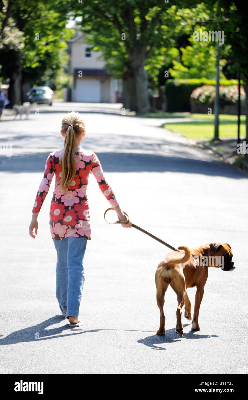 How Long Should Boxer Dogs Walk