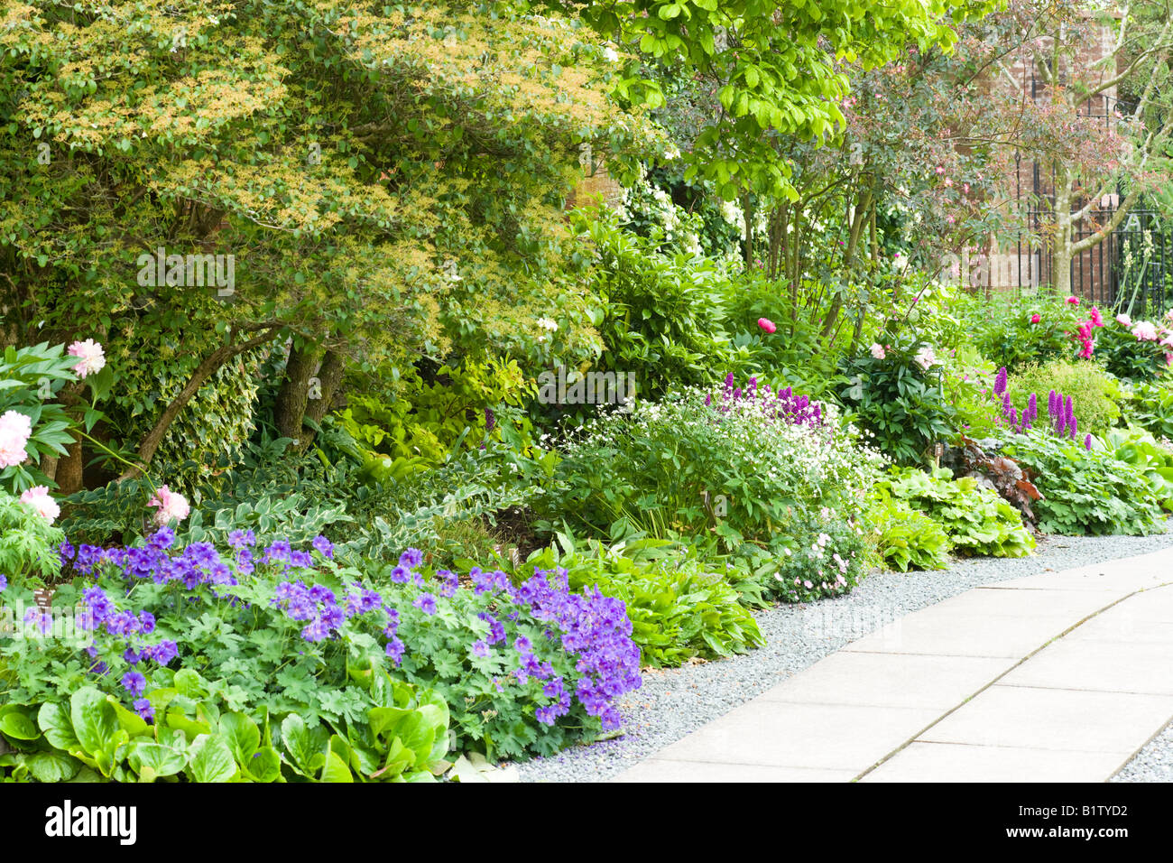 Flower bed with orchid, geranium and peony Stock Photo - Alamy