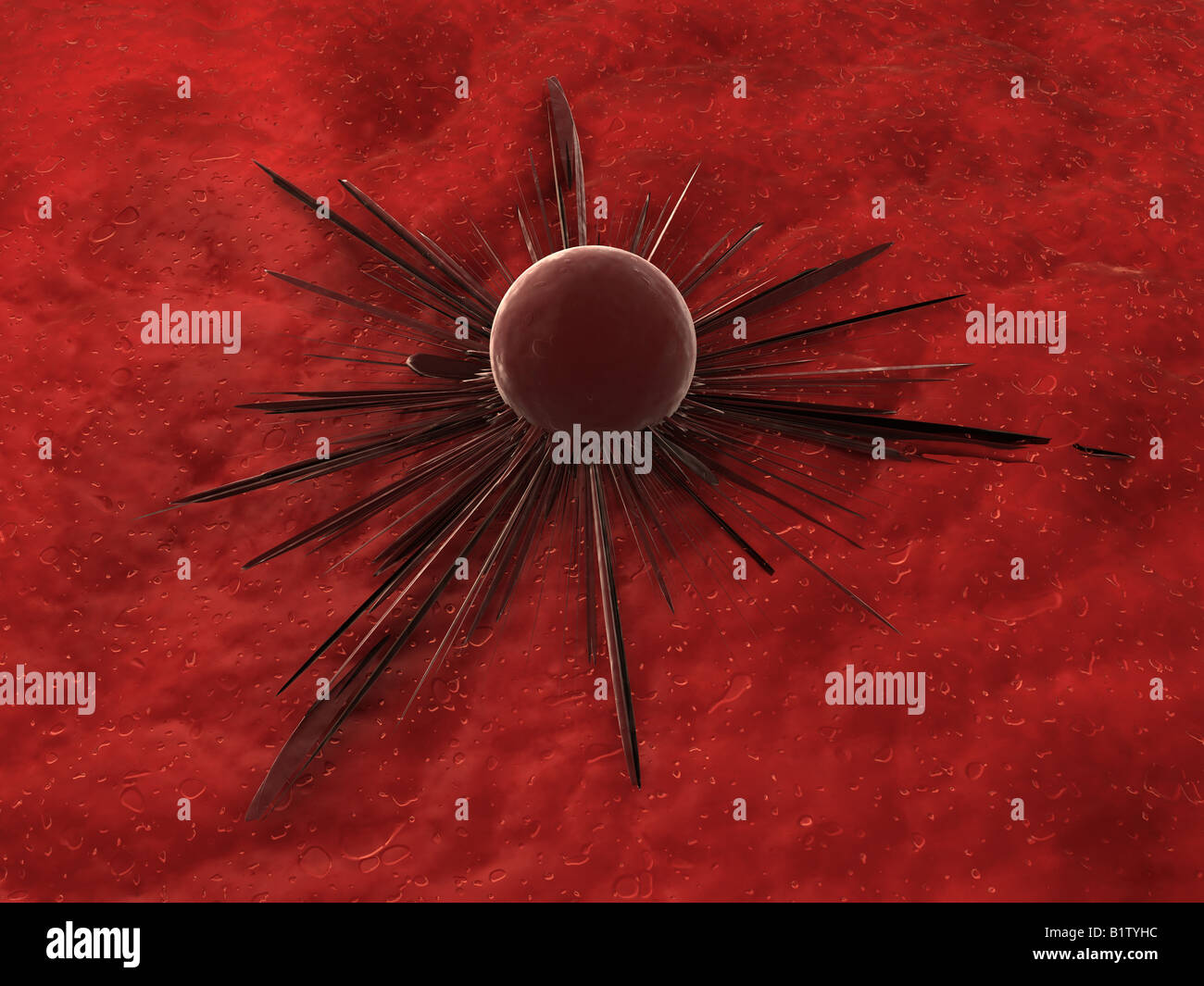 Scanning electron microscope cancer hi-res stock photography and images ...